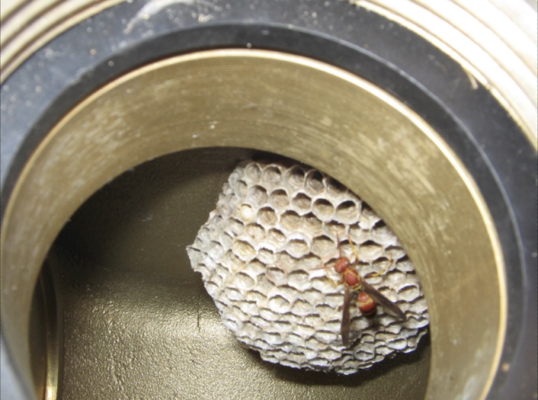 Life Safety Inspection: Fire Sprinkler Room and Related Components - CCPIA