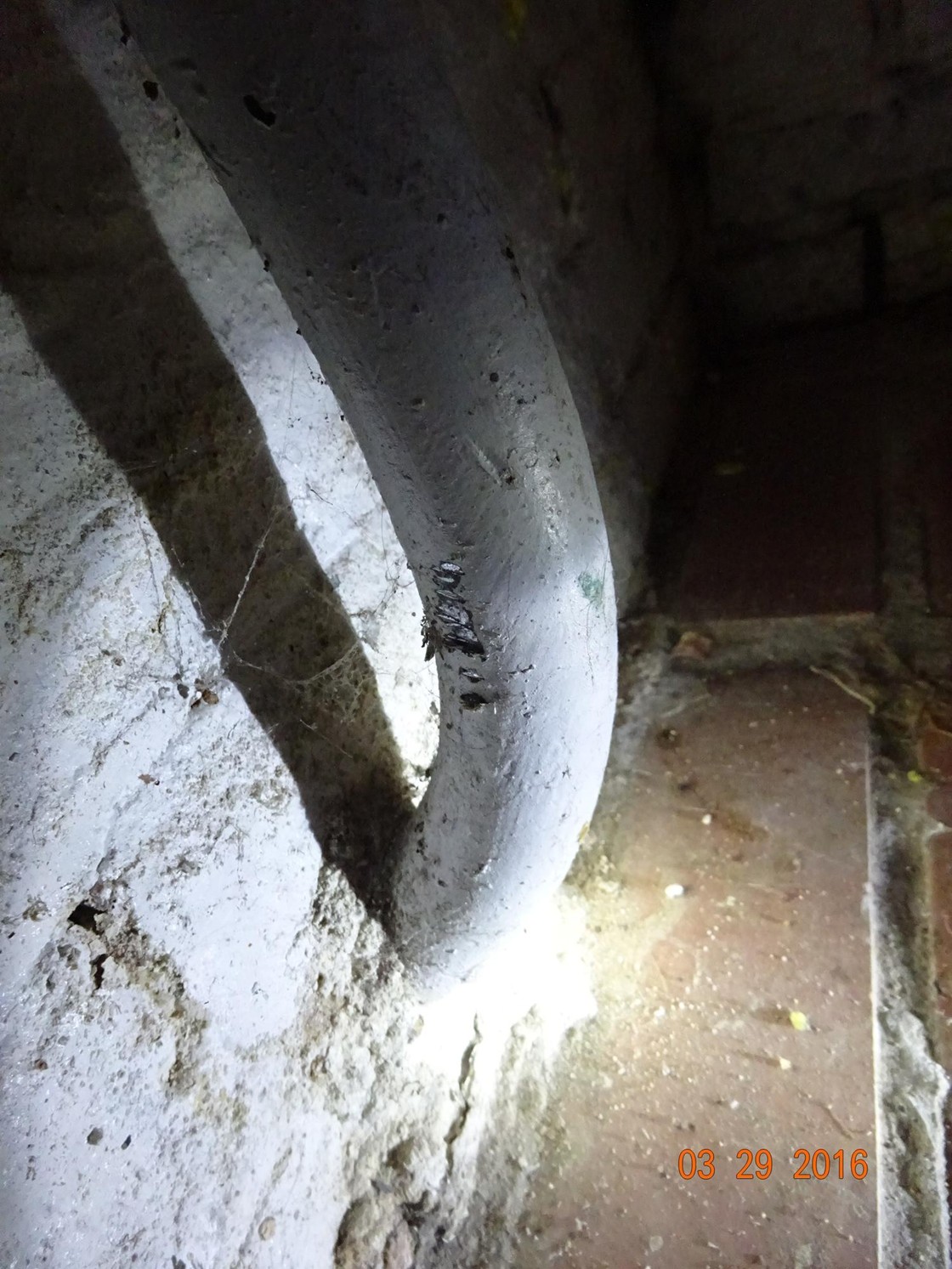 Lead - Certified Commercial Property Inspectors Association