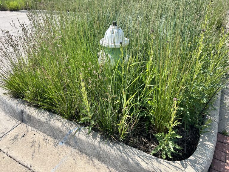 Life Safety Inspection: Fire Sprinkler Room and Related Components - CCPIA