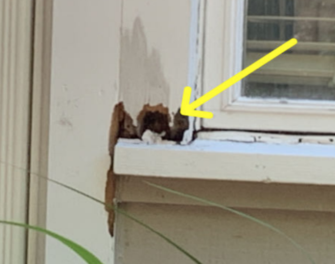 Deterioration - Certified Commercial Property Inspectors Association